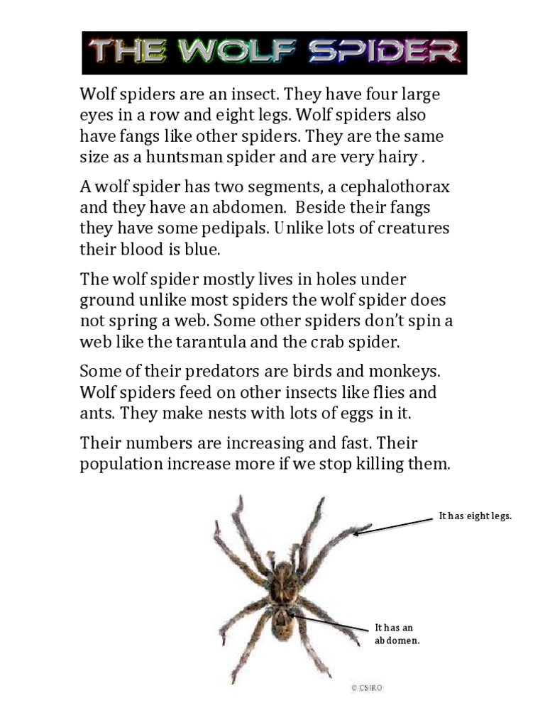 Skye Pdf Home Garden Young Adult