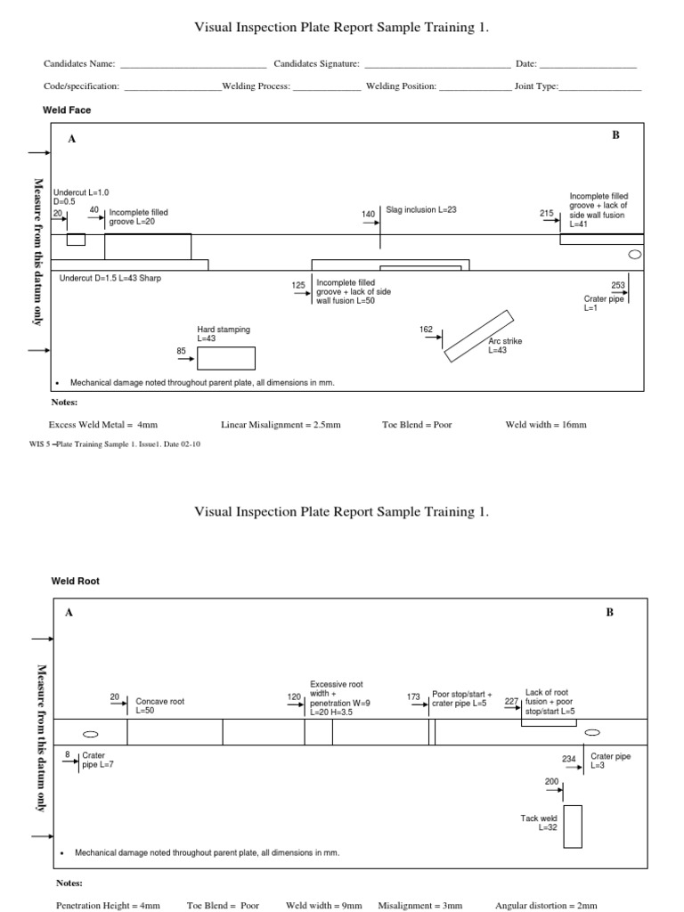 Plate Sample Training 1 | PDF