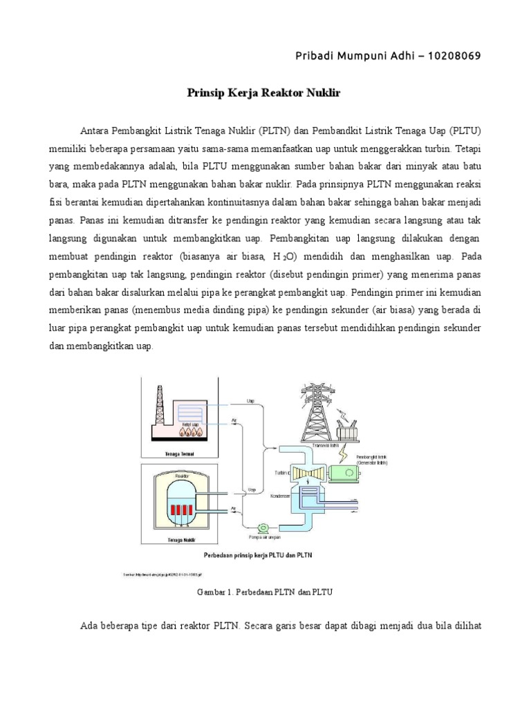 Prinsip Kerja Reaktor Nuklir PLTN | PDF