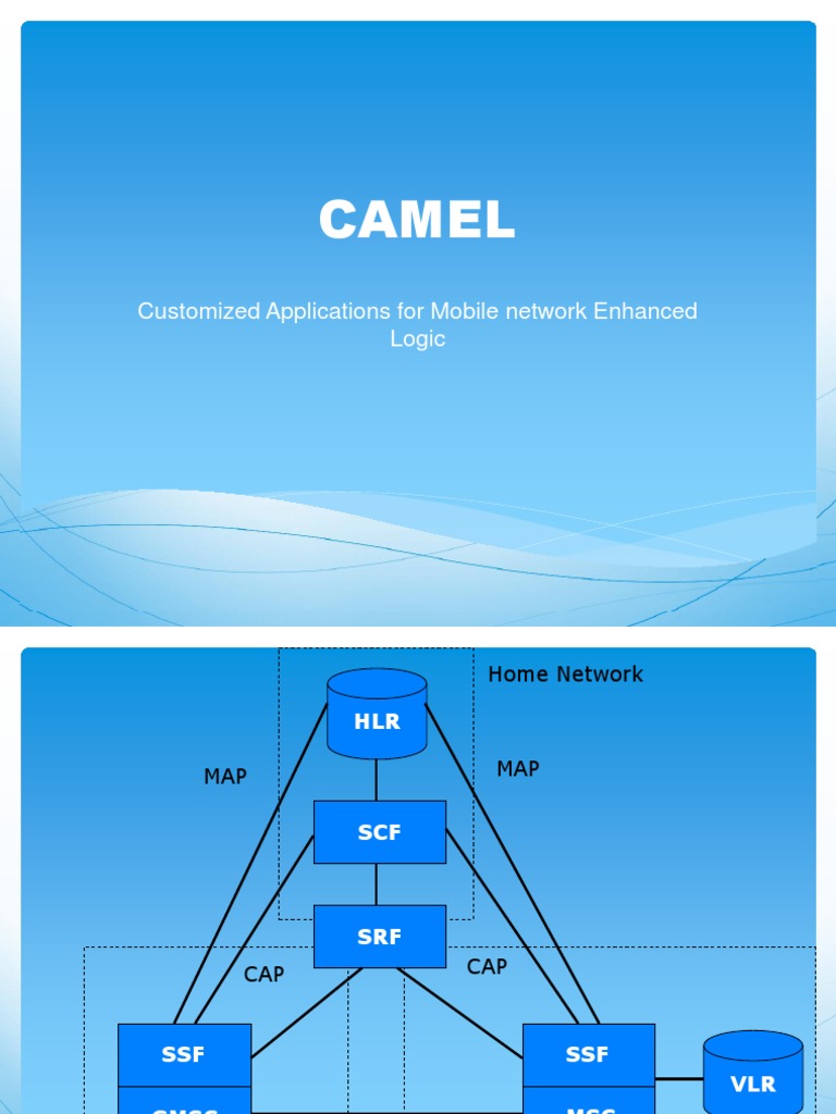 CAMEL Subscription Information Overview | PDF | Software Defined Radio ...