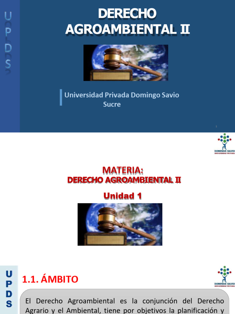 Derecho Agroambiental 2 | PDF | Propiedad | Constitución