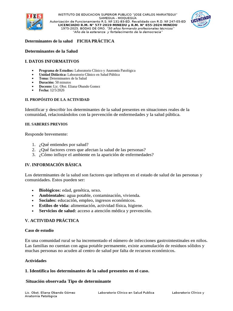 Determinantes de La Salud FICHA PRÁCTICA | PDF | Laboratorios | Cuidado ...