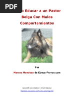Morfología del perro: Graioides y Occipucio | PDF | Diente | Pastor alemán