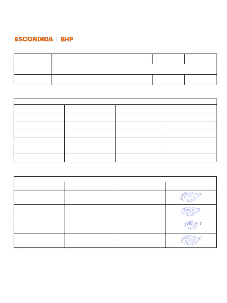 S-hse-safe-006 Ver 6 - Estandar Hse Epp | PDF | ruido | Higiene Ocupacional