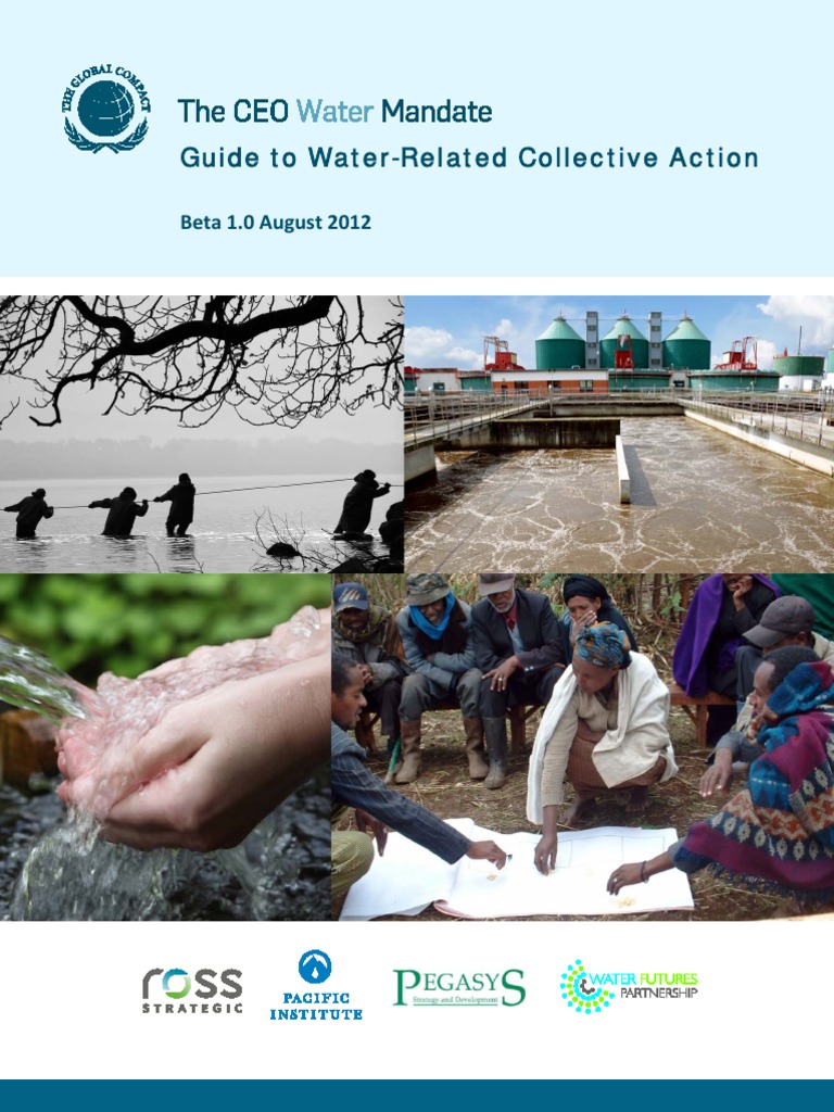 CEO Water Mandate Beta Report | PDF | Water Resources | Collective Action