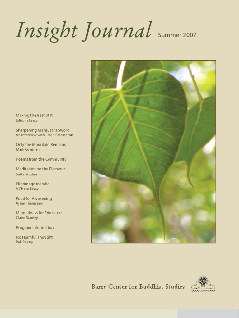 Insight Journal 2007 | PDF | Sati (Buddhism) | Enlightenment In Buddhism
