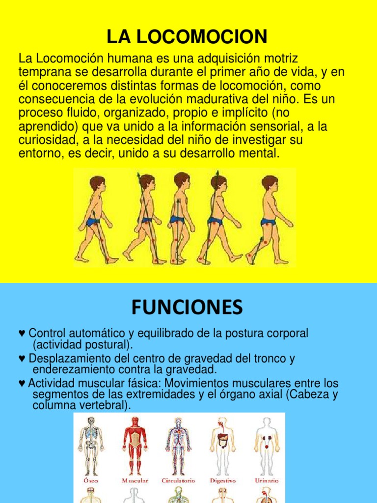 La+Locomocion+Vistapreescolar