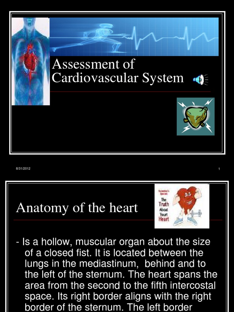 Cardiovascular System Assessment Guide | PDF | Heart Valve | Heart
