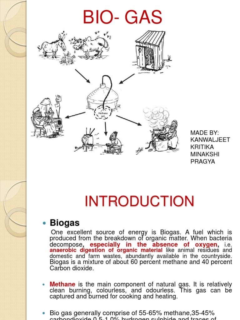 Biogas Production and Applications Guide | PDF | Biogas | Anaerobic ...
