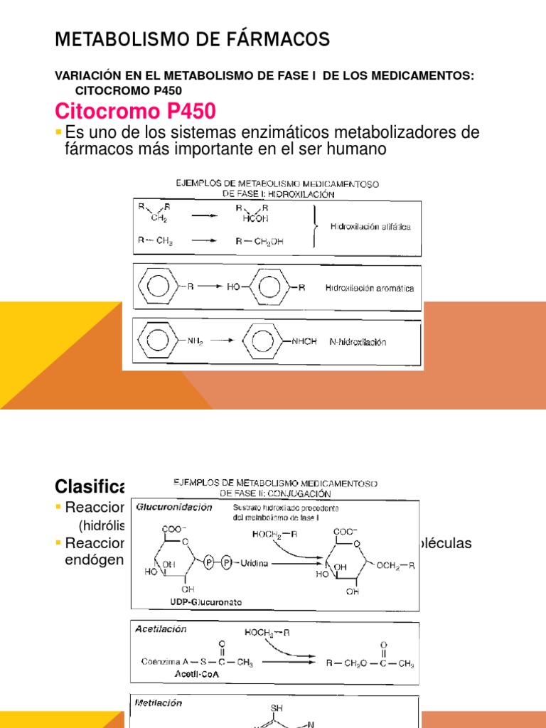 Metabolismo de Fármacos | PDF | Citocromo P450 | Metabolismo