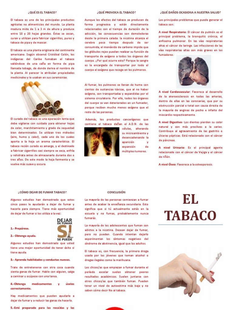 Triptico QuÉ Es El Tabaco Pdf Tabaco Fumar Tabaco