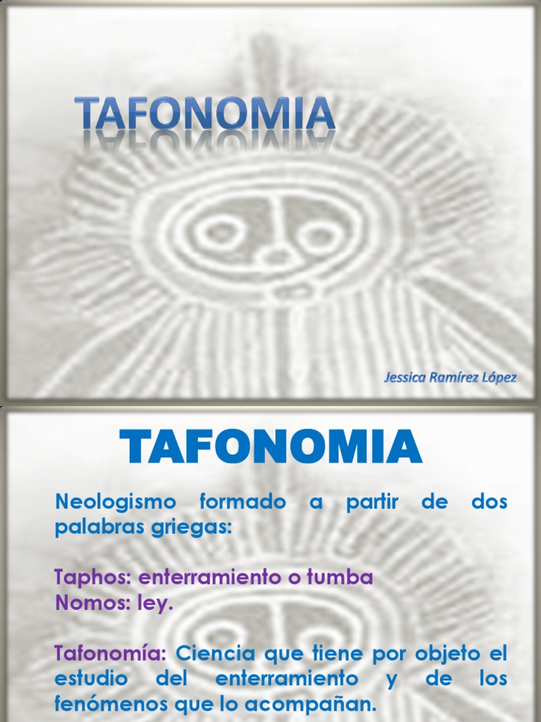 La compleja ciencia de la tafonomía: El estudio de los procesos post ...