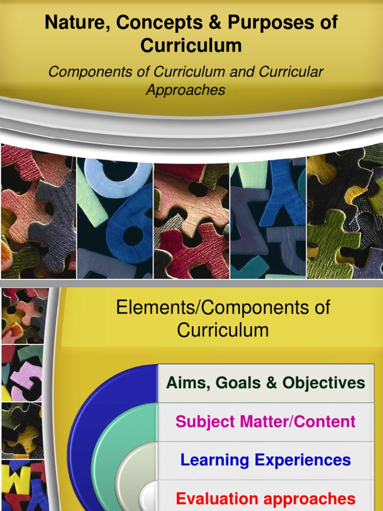 Key Components of Curriculum Development | PDF | Curriculum | Learning