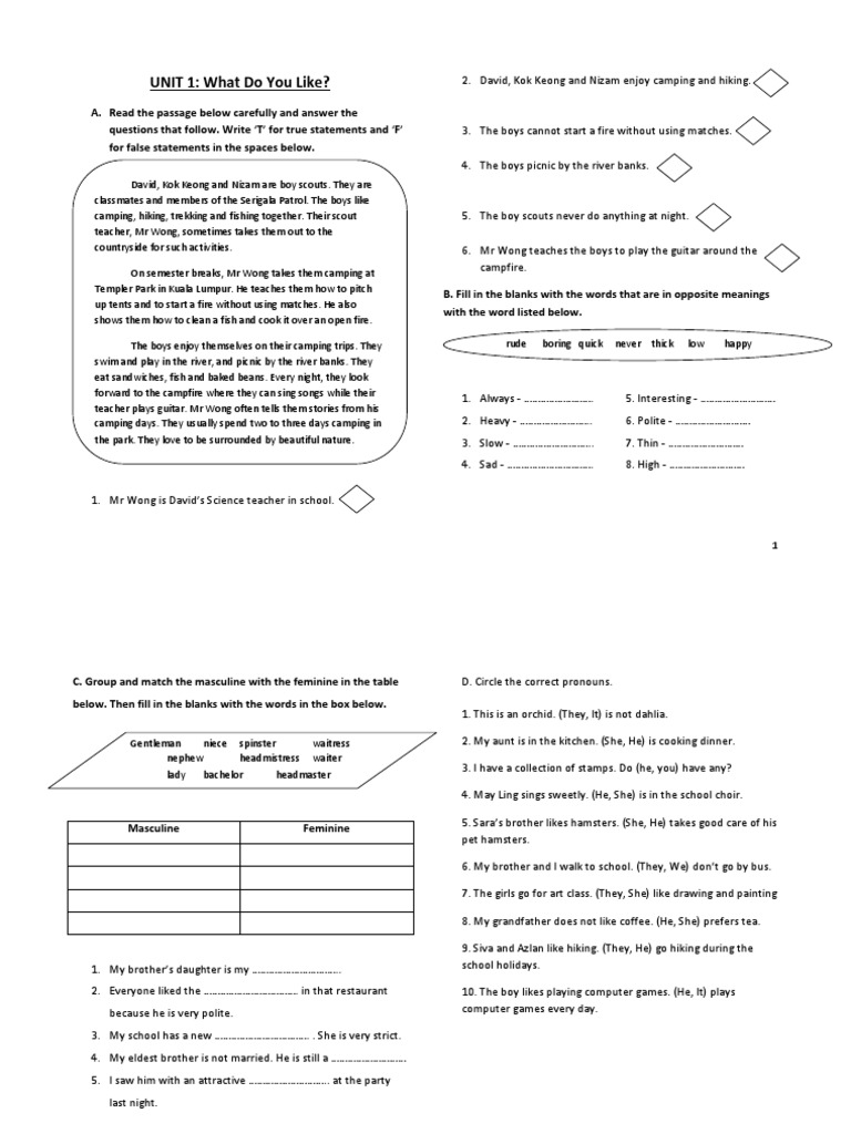 English Year 4 Unit 1 | PDF | Camping | Leisure