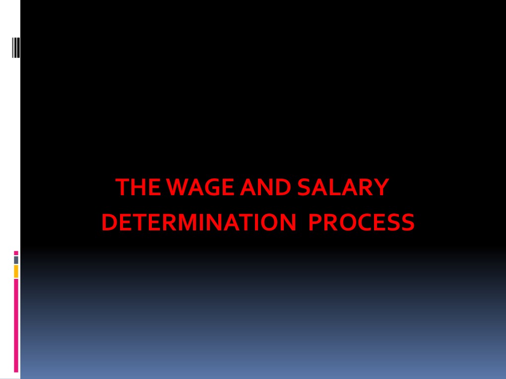 The Wage and Salary Determination Process | PDF | Piece Work | Wage