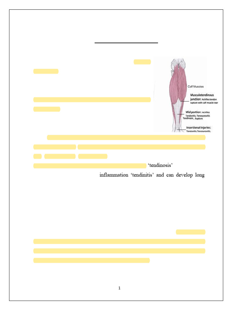 Achilles Tendinopathy Lec | PDF | Tendon | Human Leg