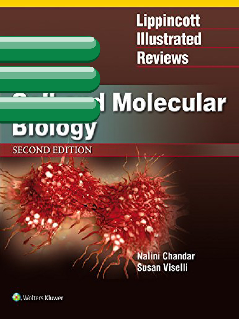 Lippincott Illustrated Reviews: Cell and Molecular Biology Lippincott ...