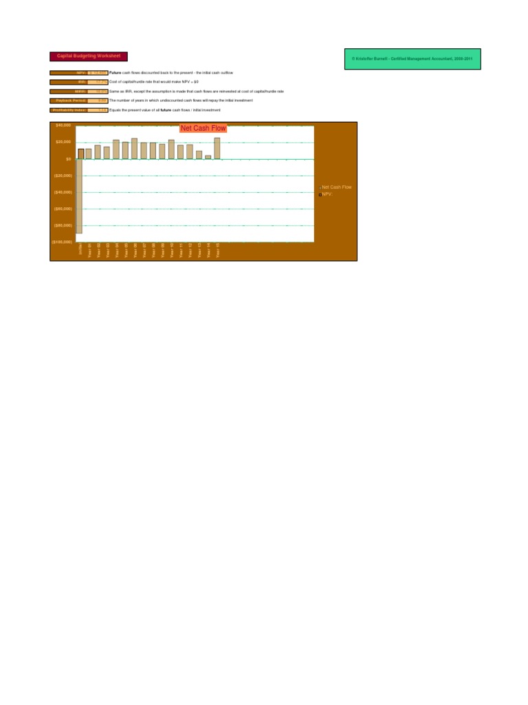 Capital Budgeting Worksheet | PDF | Capital Budgeting | Net Present Value
