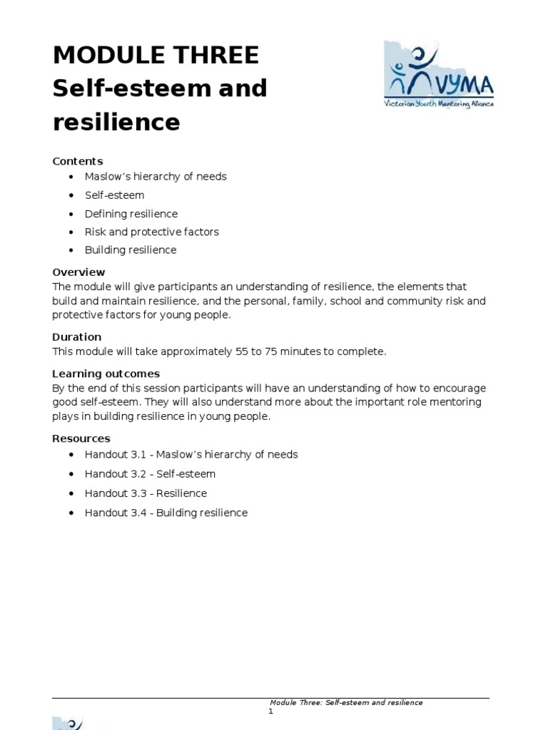 03 Self-Esteem and Resilience | PDF | Psychological Resilience | Self ...