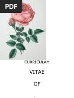 CV Template for Visa Applications | PDF | Career & Growth