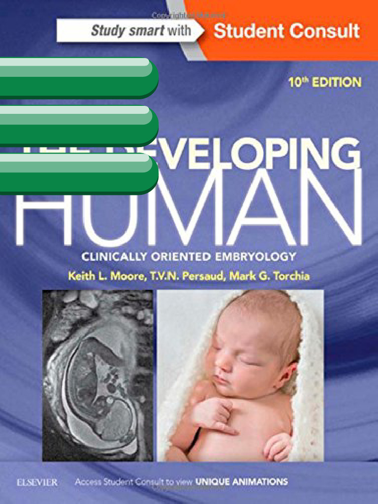 The Developing Human: Clinically Oriented Embryology, 10th Edition ...