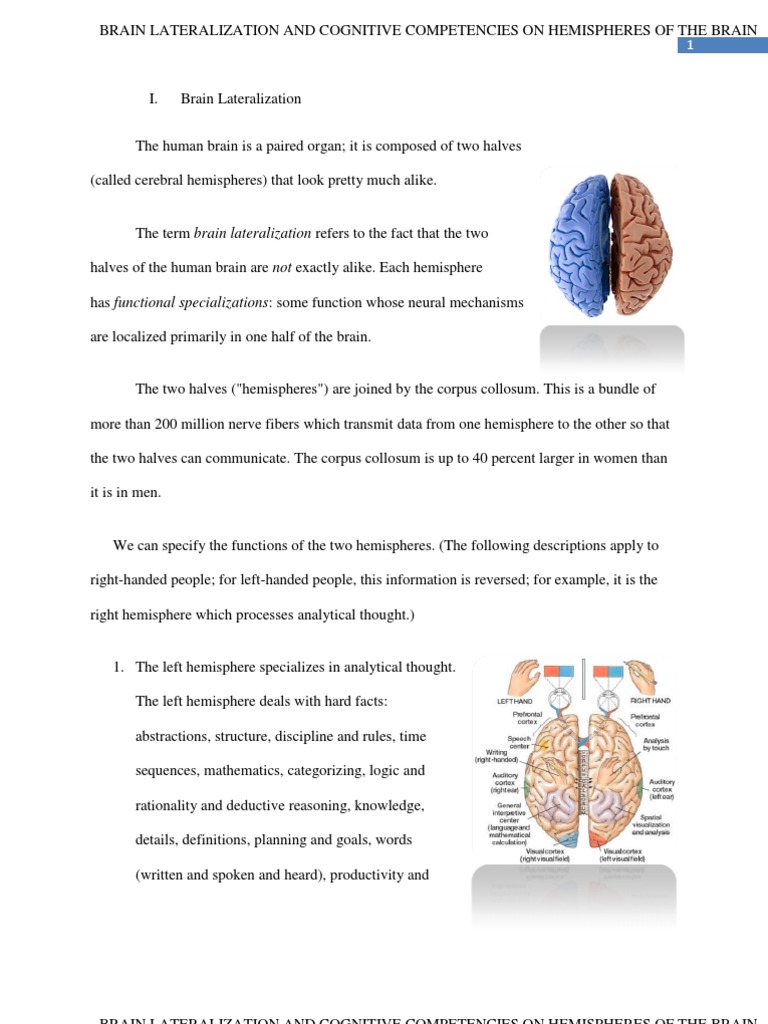 BRAIN LATERALIZATION AND COGNITIVE COMPETENCIES ON HEMISPHERES OF THE ...
