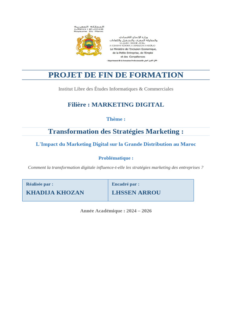 PFE Marketing Digital Khadija Khozan | PDF | Commercialisation ...