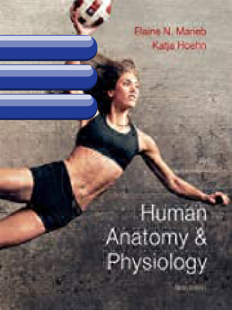 Solution Manual Human Anatomy Amp Physiology 9th Edition Ebook PDF ...