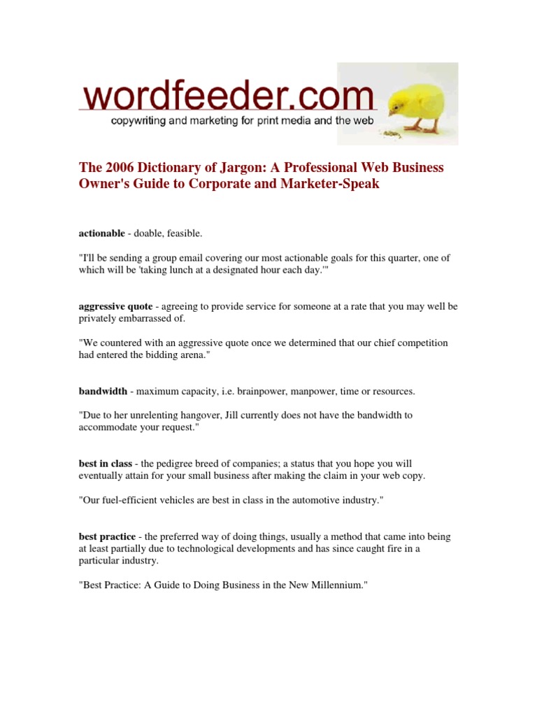 The 2006 Dictionary of Jargon: A Professional Web Business Owner's ...