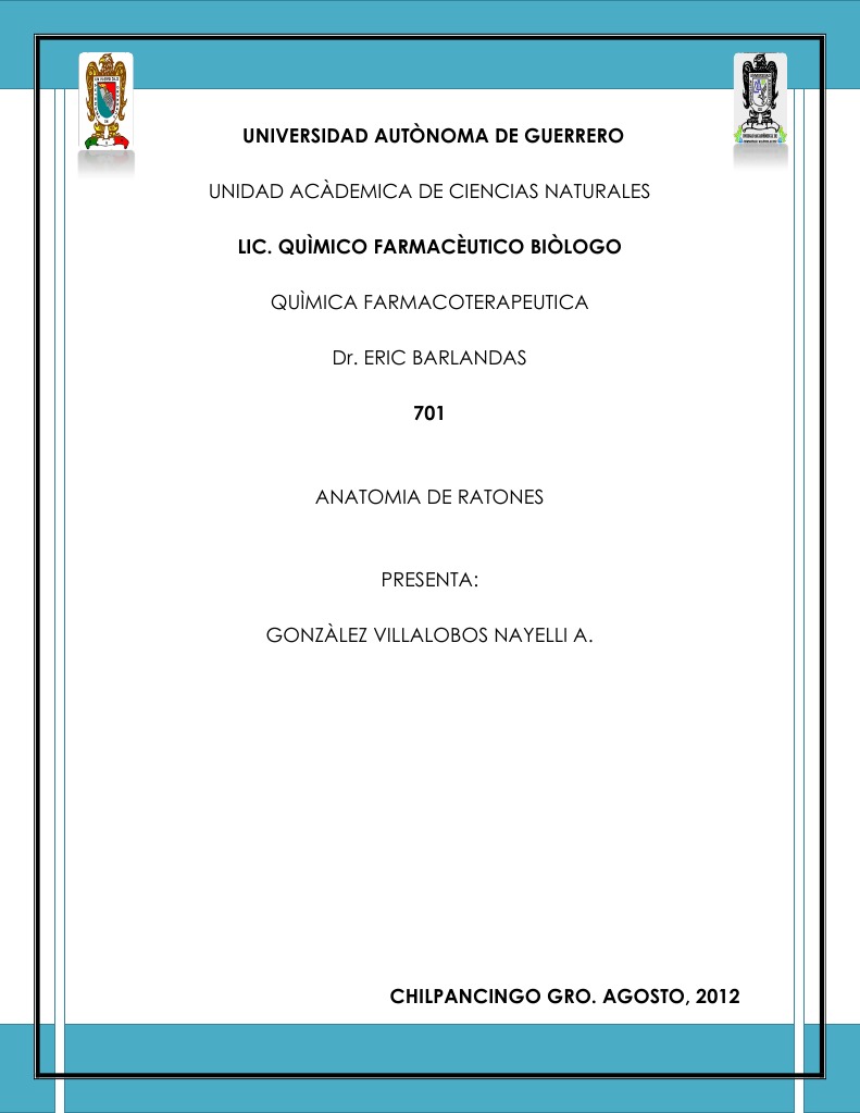 Anatomia de Rata | PDF | Bazo | Abdomen