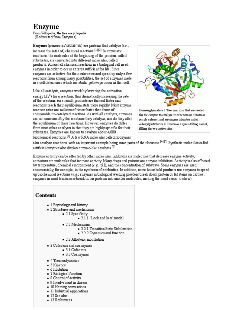 Enzyme - Wikipedia, The Free Encyclopedia | PDF | Cofactor (Biochemistry) | Enzyme