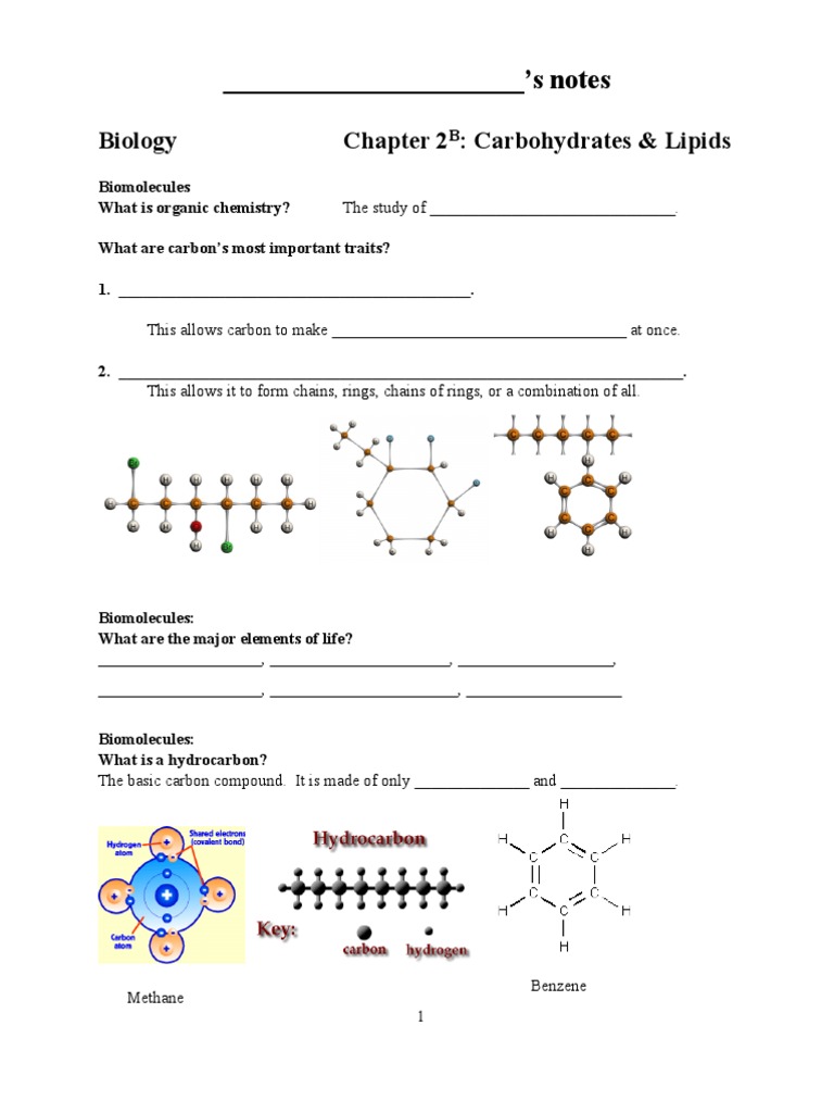 Carbohydrates & Lipids Notes | PDF | Biomolecules | Carbohydrates