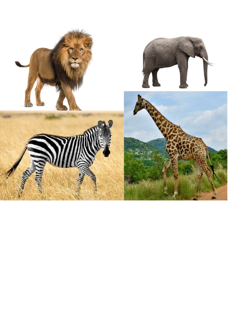 Africa y Asia | PDF
