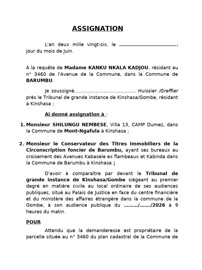 Assignation Kanku Nkala vs Shilungu AVEC NOS INPUTS | PDF