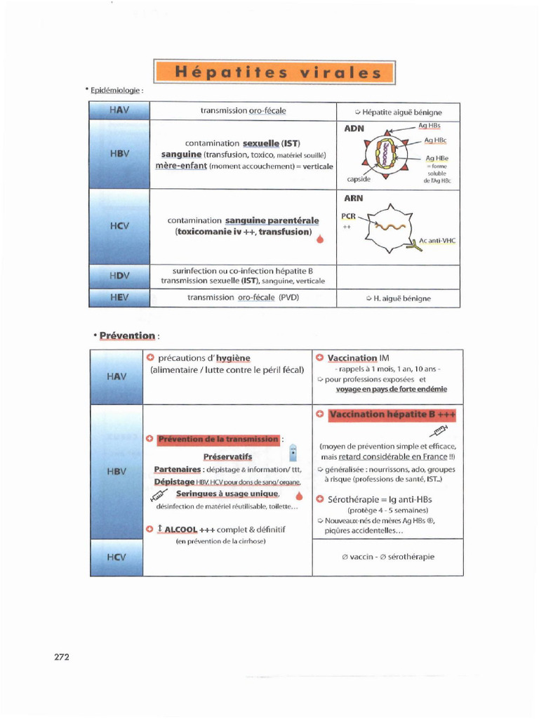 02 Hépatites virales - Mikbook HGE 19 (1) | PDF | Hépatite B | Hépatite