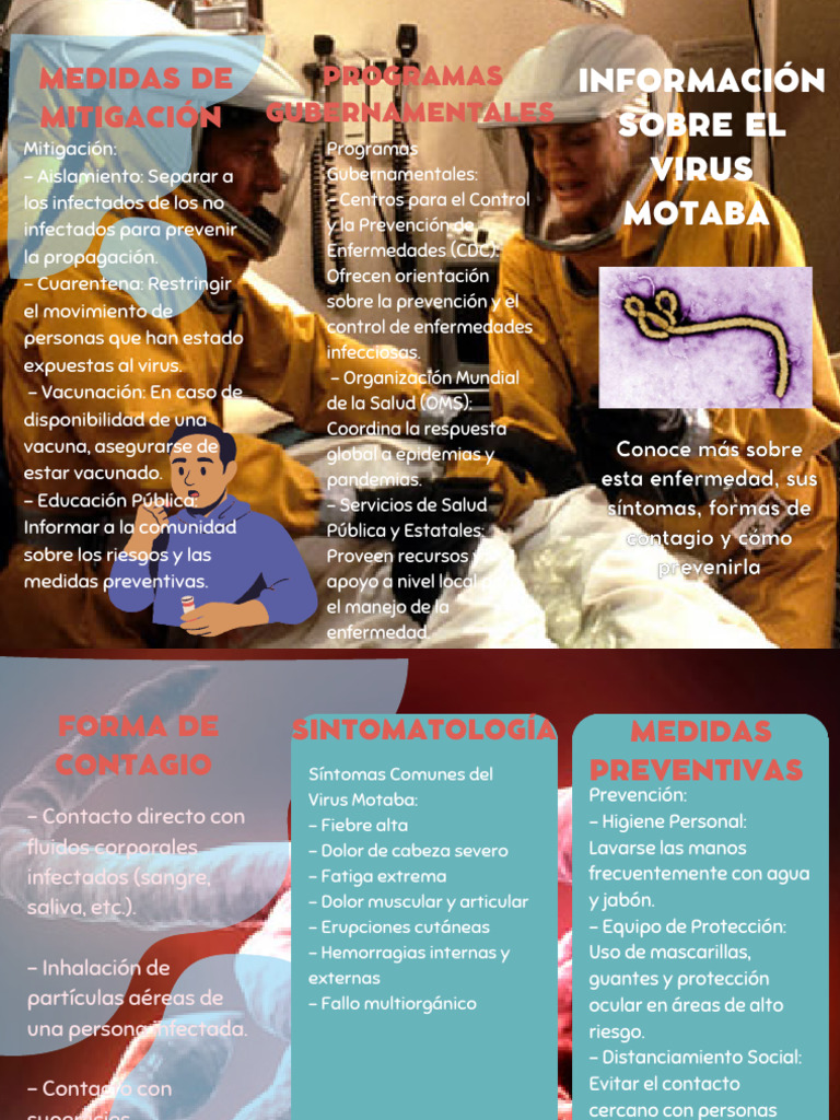 Virus Motaba Triptico | PDF | Virus | Salud pública