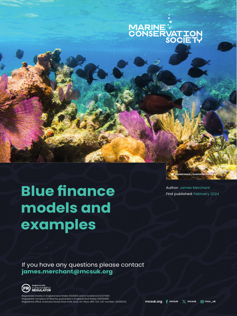Blue Finance Models Examples | PDF | Investing | Bonds (Finance)