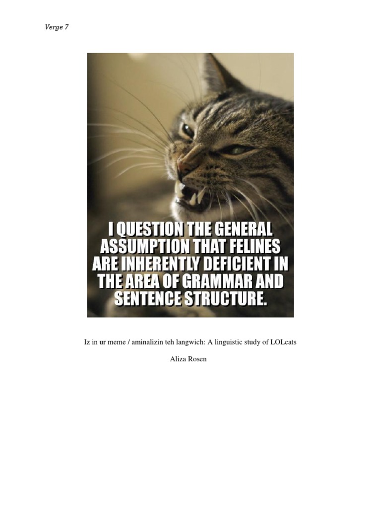 Paper On Lolcats | PDF | English Language | Language Mechanics