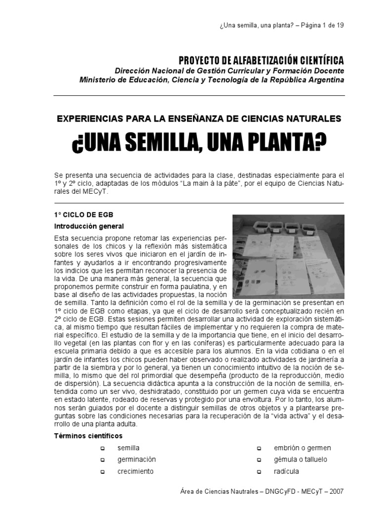 Propuesta Una Semilla, Una Planta | PDF | Germinación | Plantas