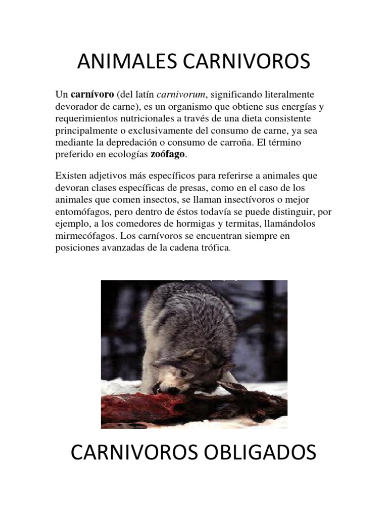 Animales Carnivoros Word | PDF