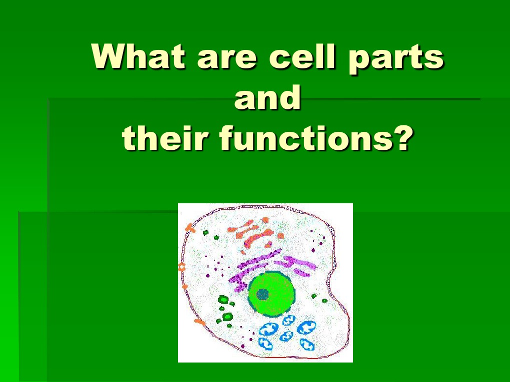 Cell Parts and Their Functions Explained | PDF