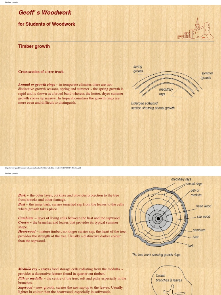 Timber Growth | Wood | Lumber