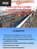 Visita Al Rastro | PDF | Carne | Matadero