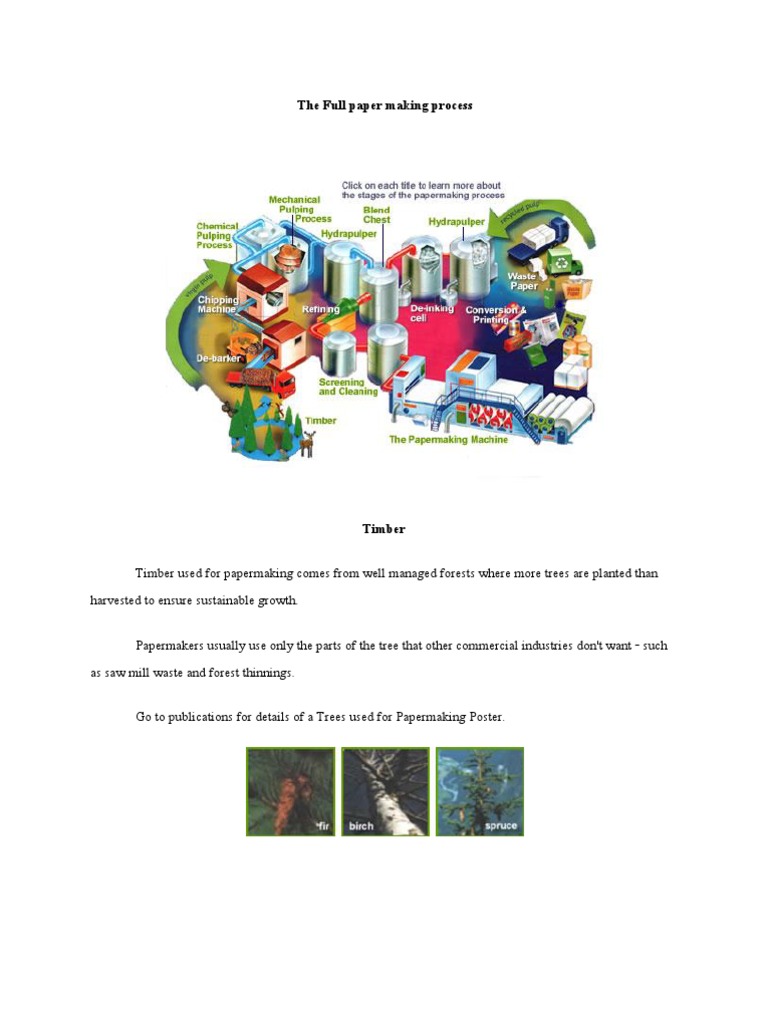 The Full Paper Making Process | Download Free PDF | Pulp (Paper) | Paper