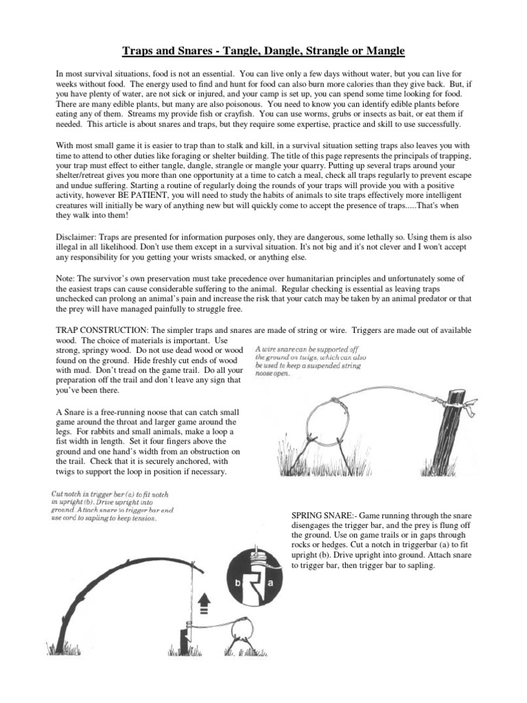 How To Make Traps | PDF | Trapping | Nature