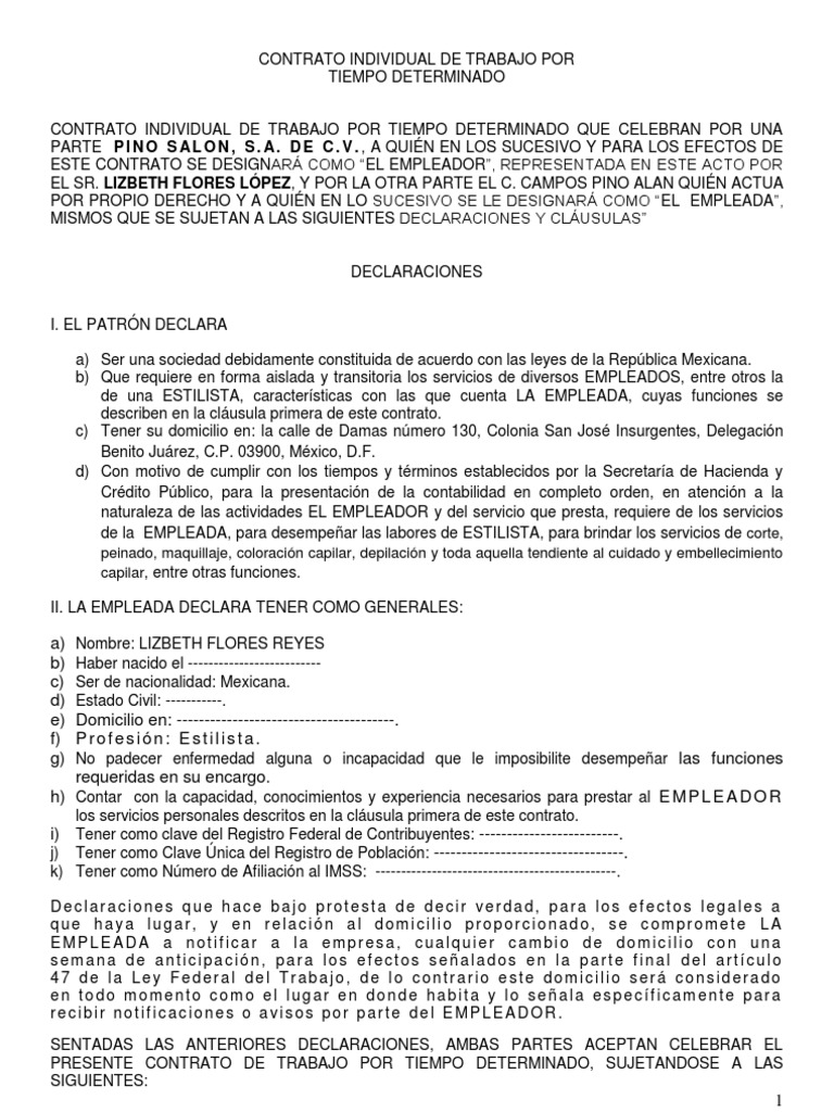Formato De Contrato Individual De Trabajo Actualizado Noviembre 2022