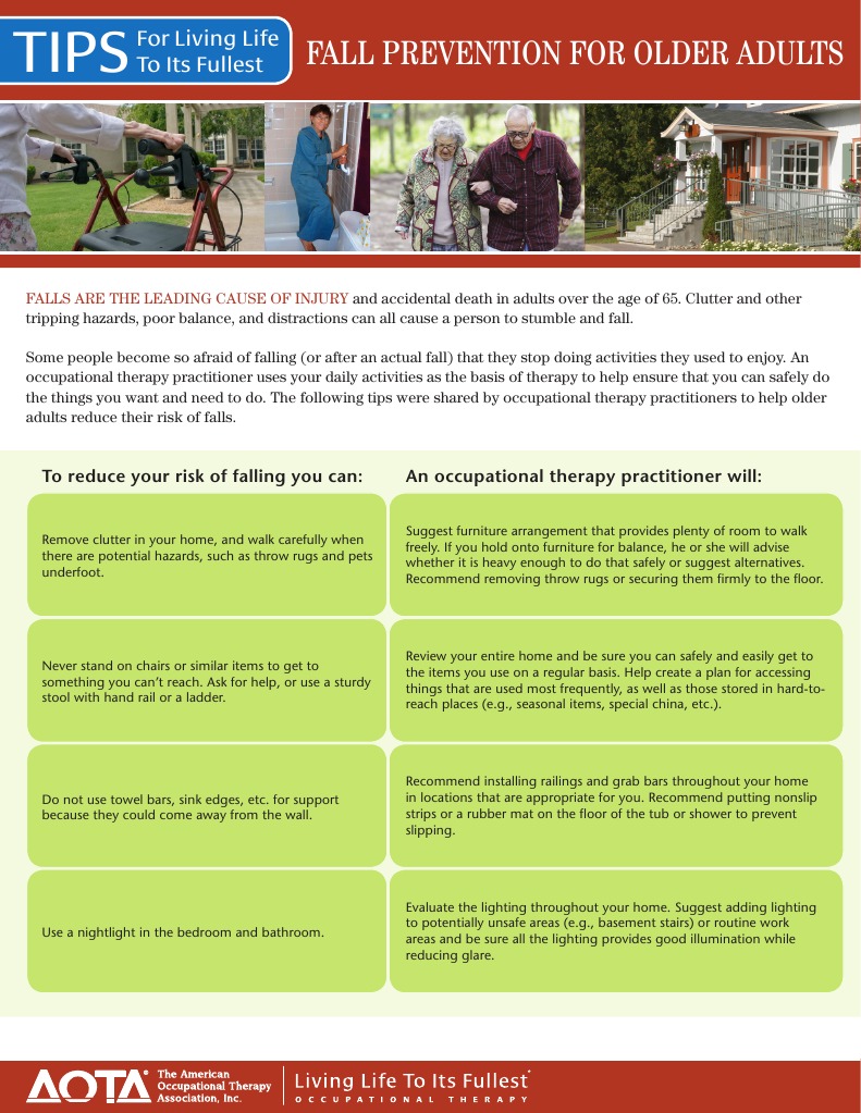 Fall Prevention For Older Adults | PDF