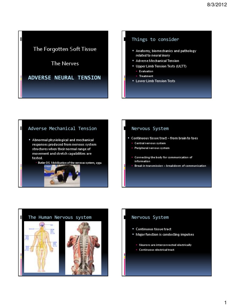 Adverse Neural Tension 2012 | Anatomical Terms Of Motion | Nervous System