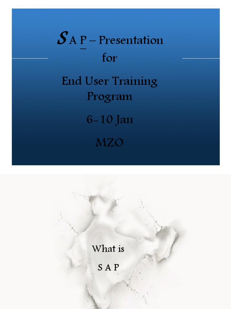 Sap Presentation | PDF | Business Economics | Economies