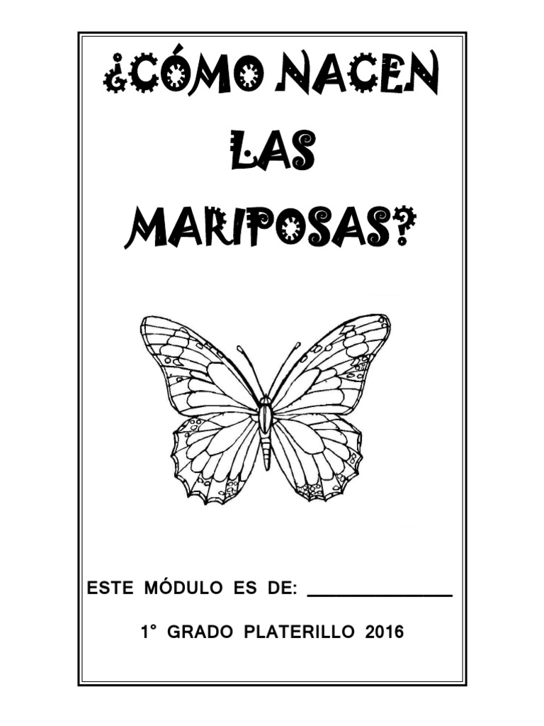 Cuadernillo Mariposas en PDF | PDF | Huevo | Lepidópteros